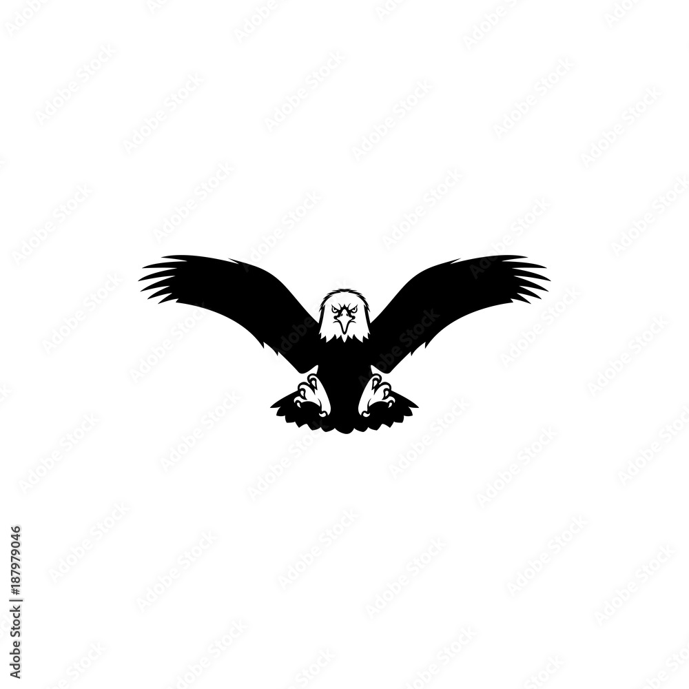 eagle flying view front vector illustrations Stock Vector | Adobe Stock