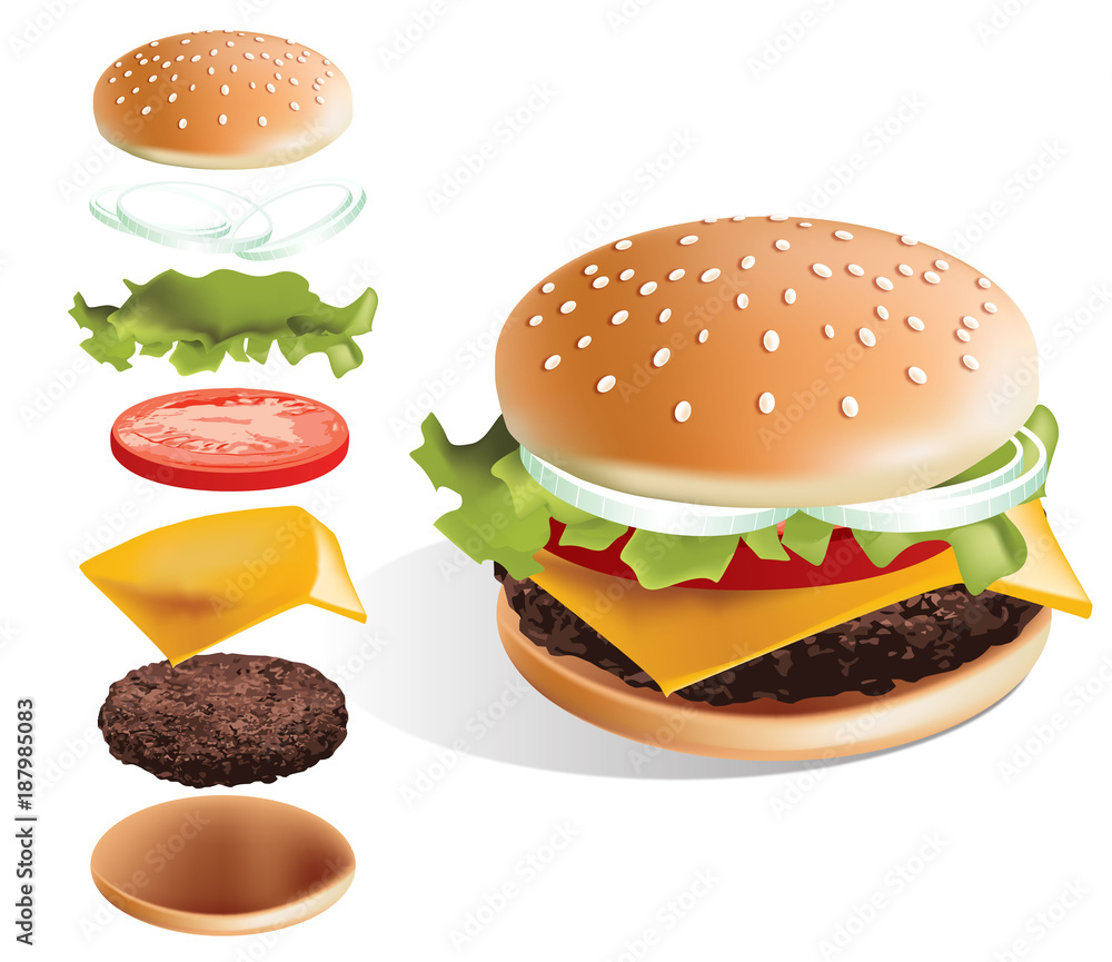 Hamburger and it's parts vector illustration with white background ...