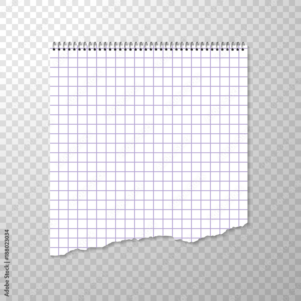 Torn Spiral Notebook Paper