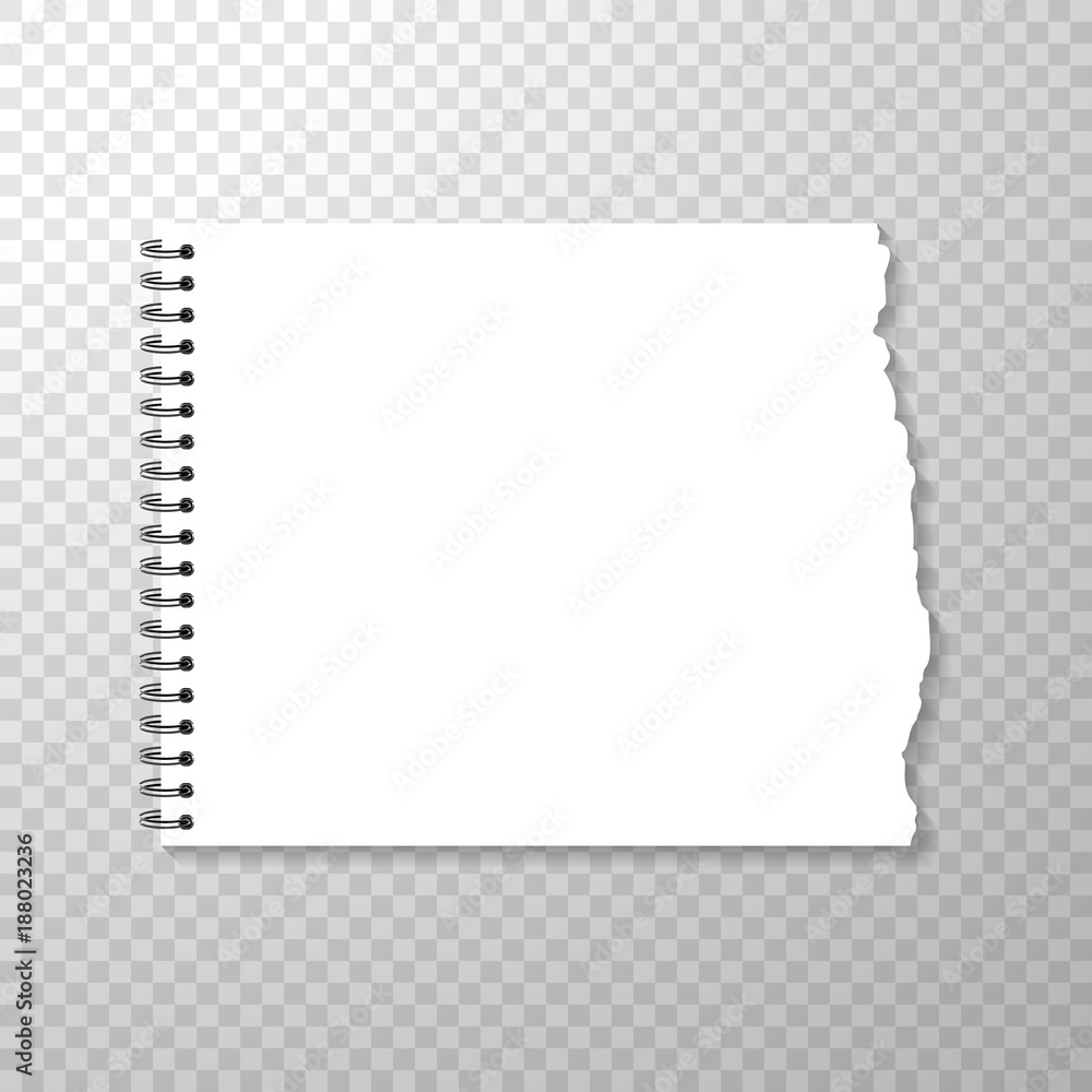 Torn Piece of Horizontal Squared Paper from Spiral Bound Notebook. Clean or Blank Page Isolated ...