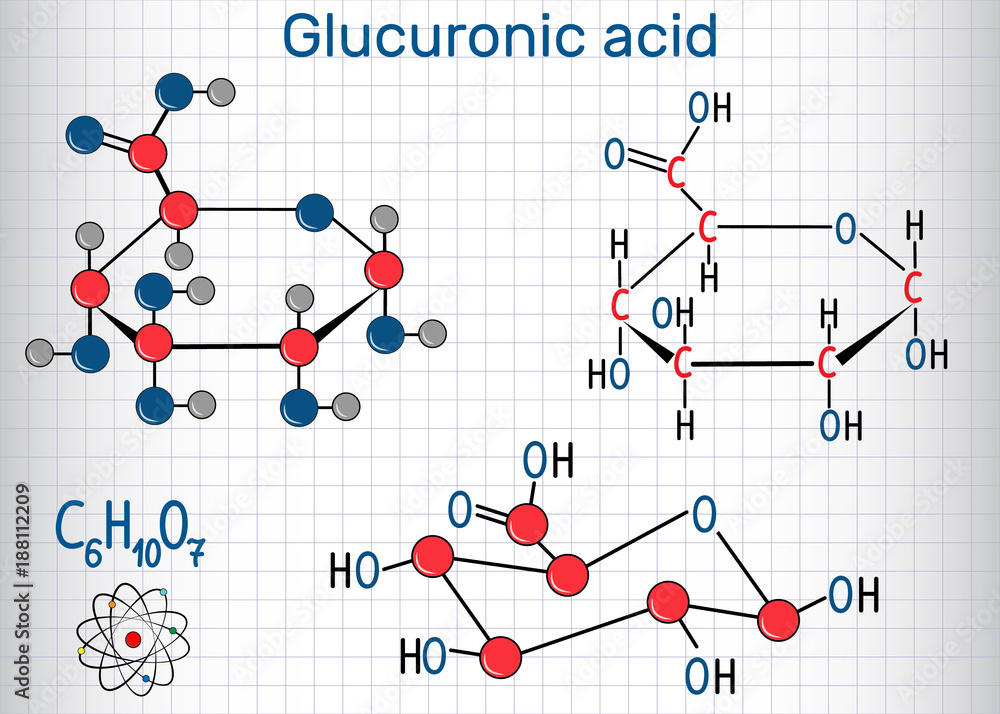 Glucuronic acid molecule, plays an important role in the metabolism of ...