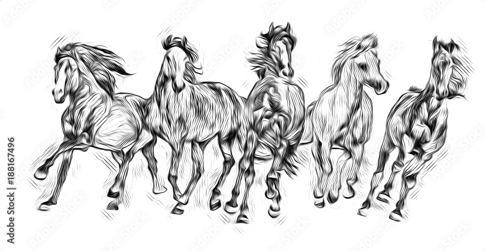 Pencil Drawings Of Horses Running