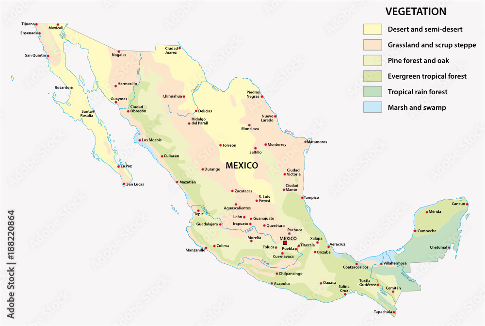 mexiko vegetation vector map Stock Vector | Adobe Stock