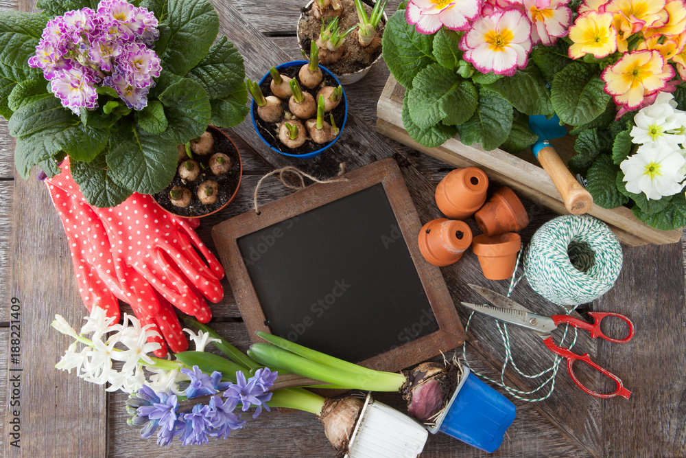 Frische Blumen im Fruehjahr Stock Photo | Adobe Stock
