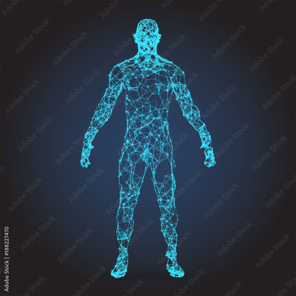 Low poly wireframe Human Body. Abstract Illustration Stock Vector ...
