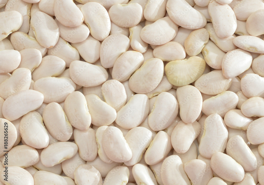 Lima Bean texture background. Large beans with a buttery flavor and ...
