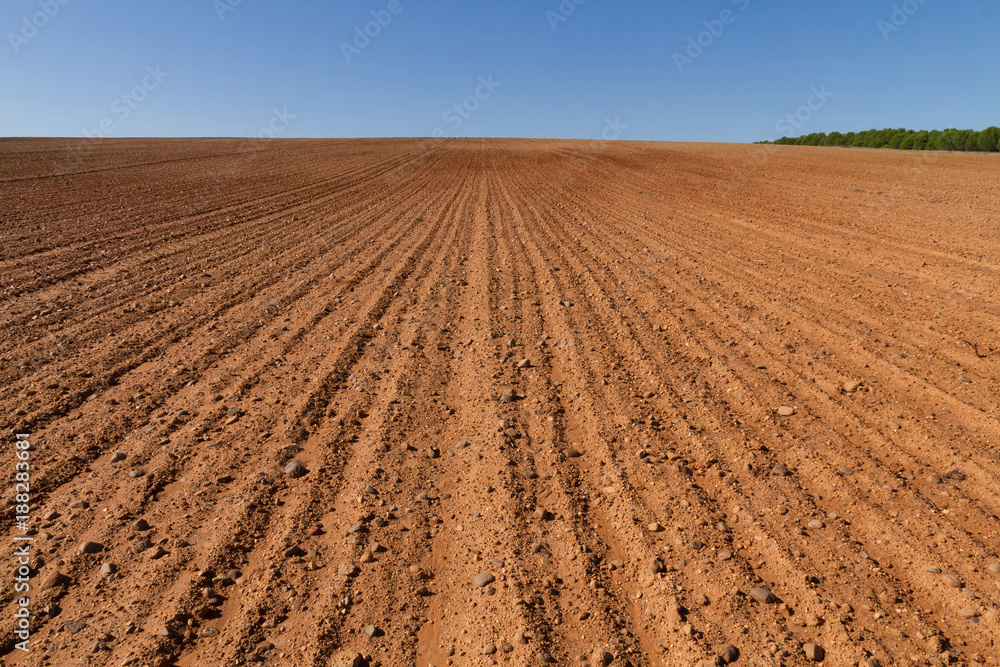 Campo Arado De Hat Road 162,436 Campo Arado Royalty Free Photos And