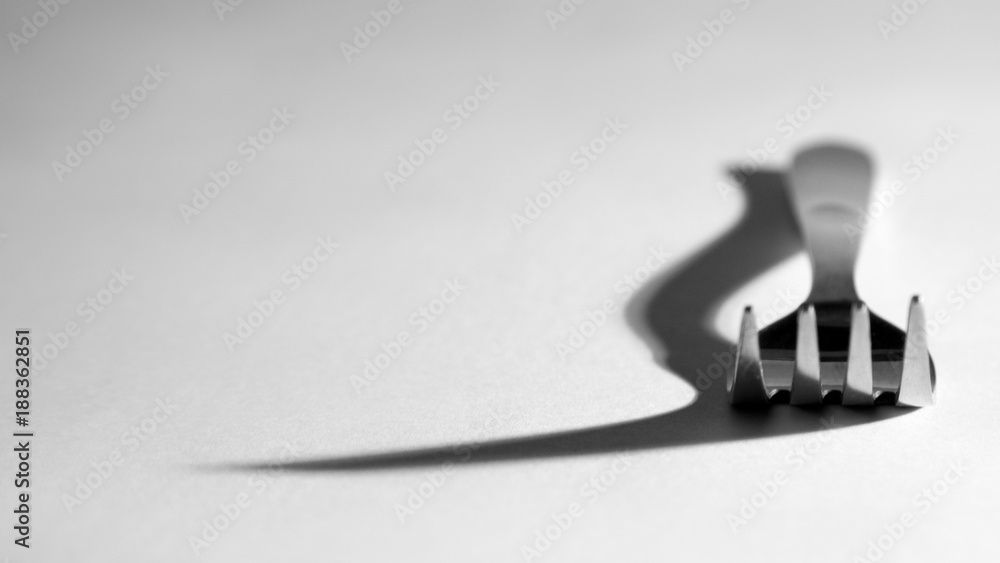 Creative Shadows Photography