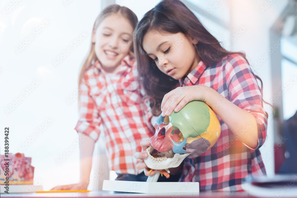 Smart kids. Vibrant intelligent fancy girls examining special plastic ...