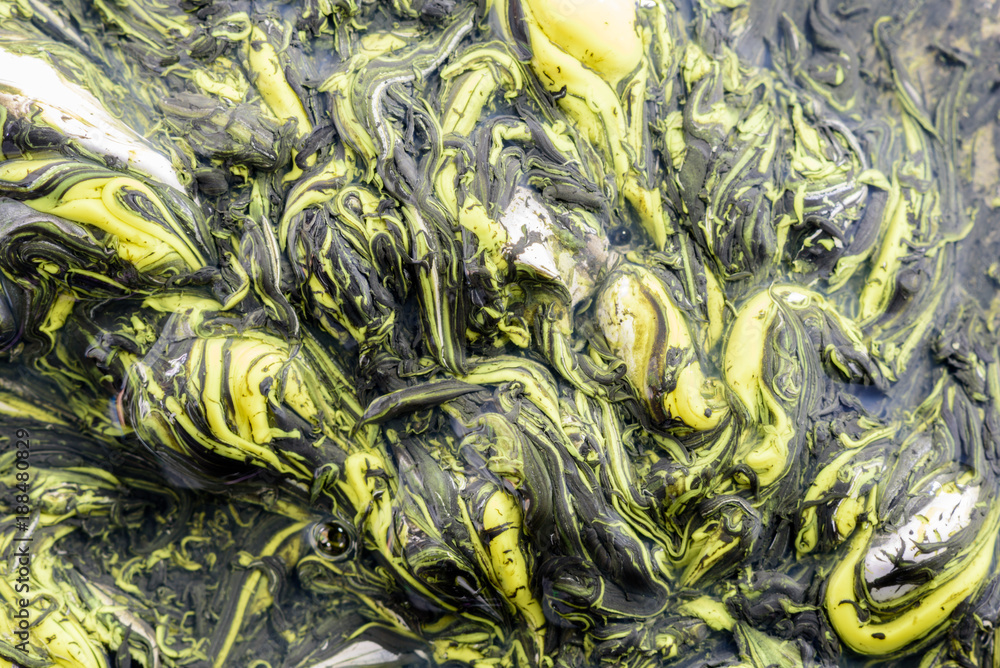 Congealed oil on water in yellow and black creating an abstract organic ...