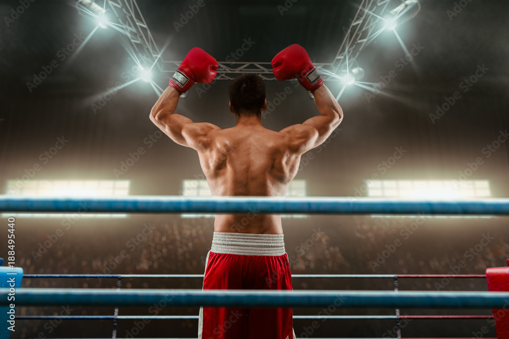 Boxing sparring boxers Stock Photo | Adobe Stock