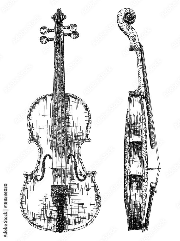 Vector illustration drawing of violin. Stock Vector | Adobe Stock