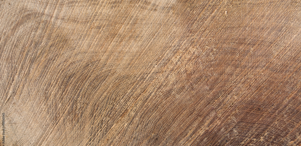 Holz panorama hintergrund - Struktur im Holz Stock Photo | Adobe Stock