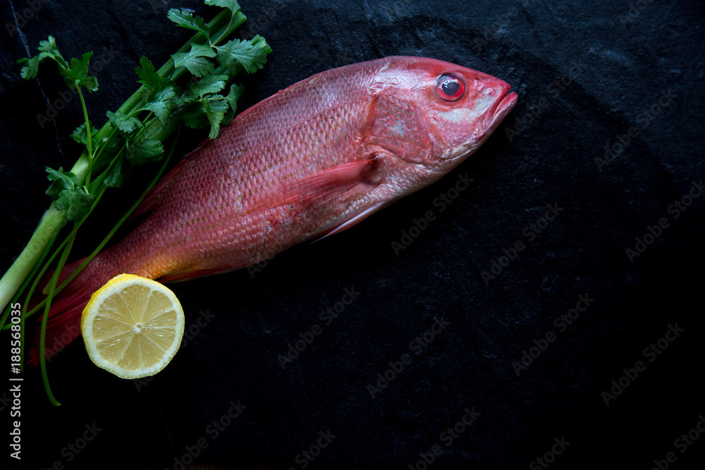 Raw whole fresh Red Snapper displayed on a black background with ice ...