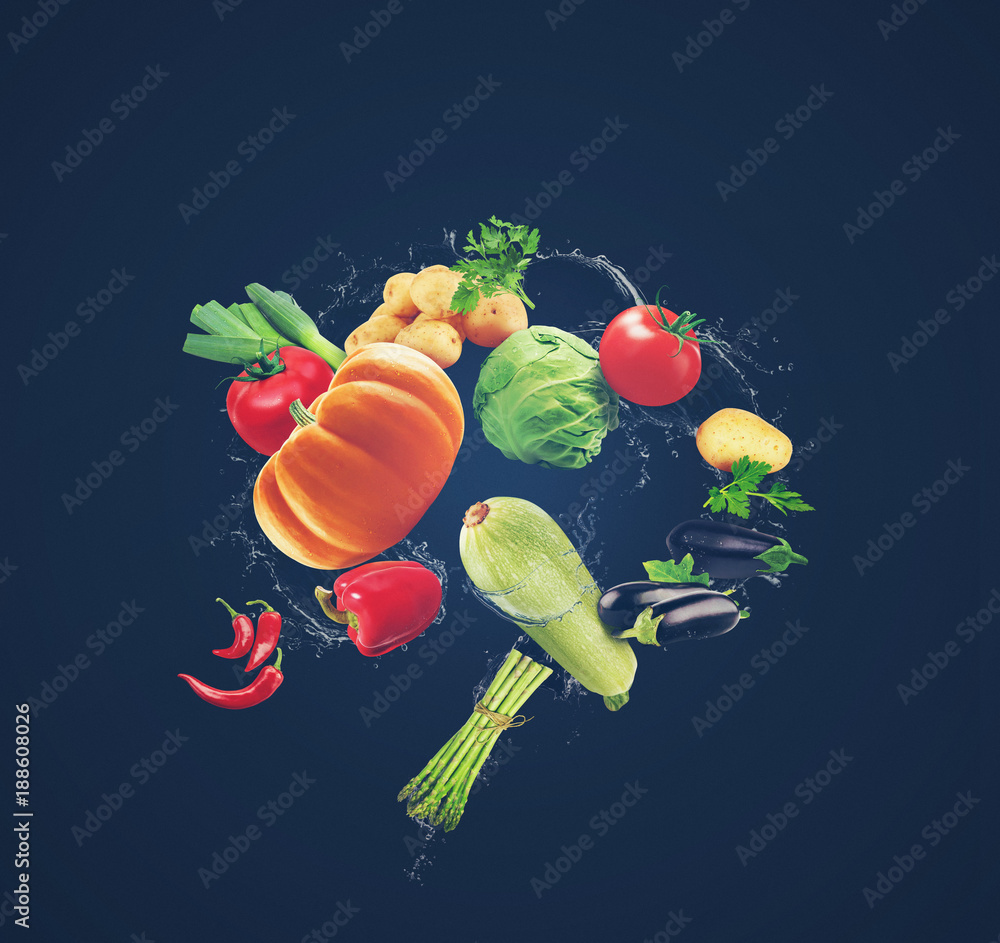 Flying organic food with water splash. Food illustration different ...