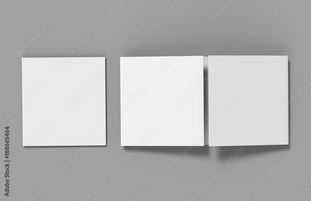 Eight page Double gate fold brochure blank white template for mock up ...
