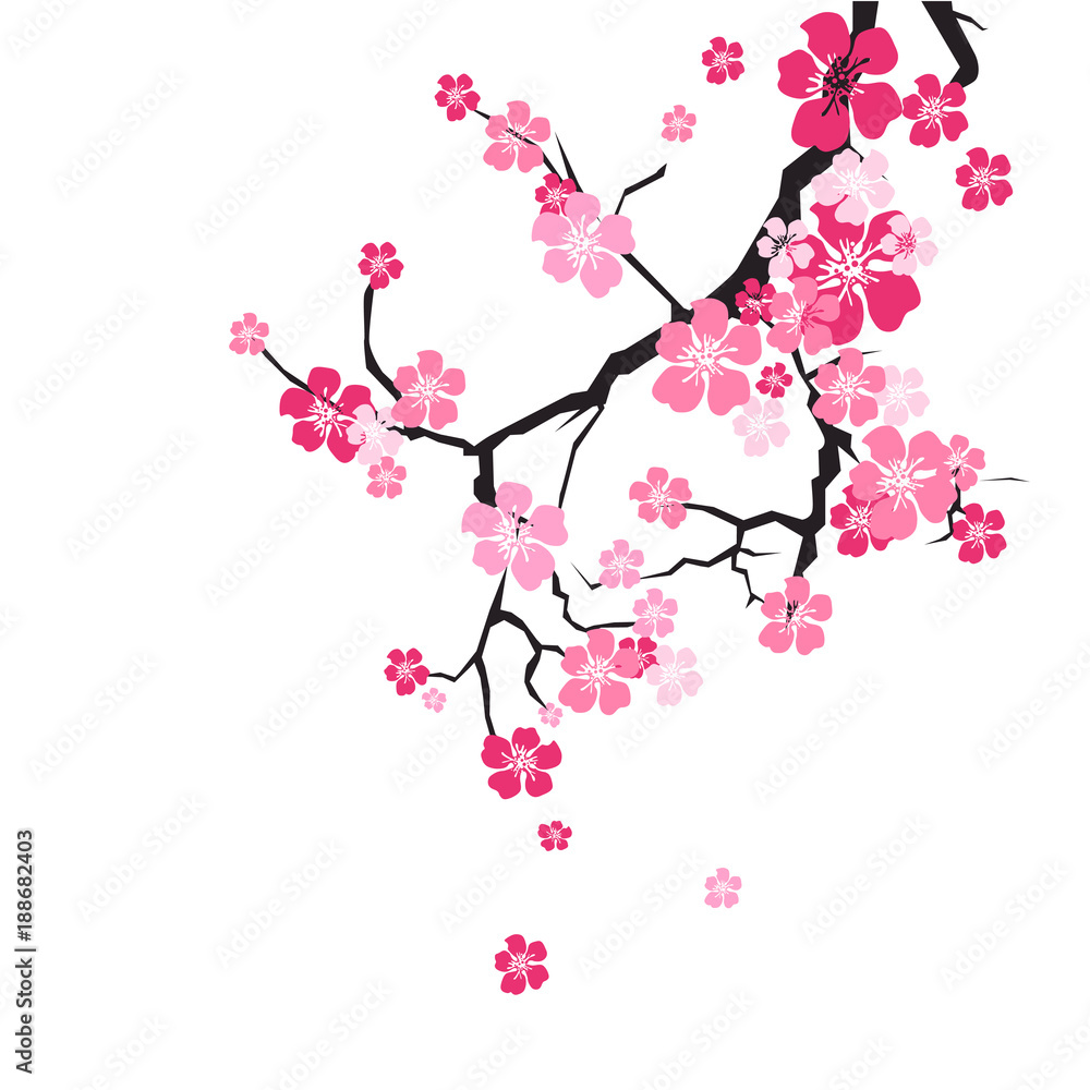 Sakura Flower Vector Art