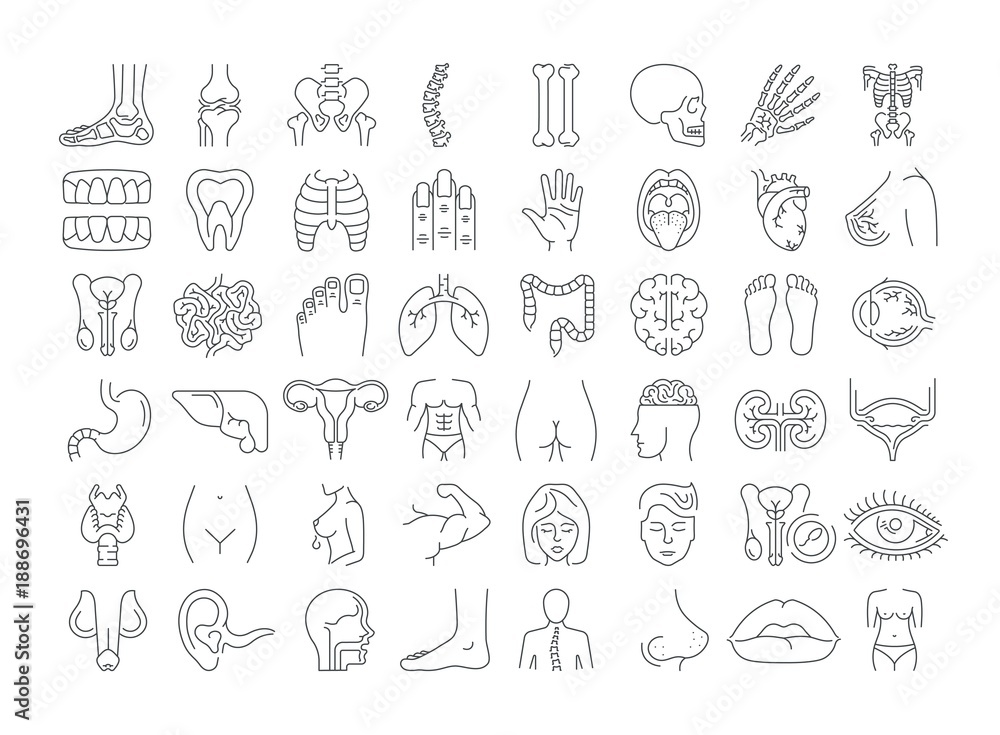 Vector graphic set. Icons in flat, contour, thin, minimal and linear ...