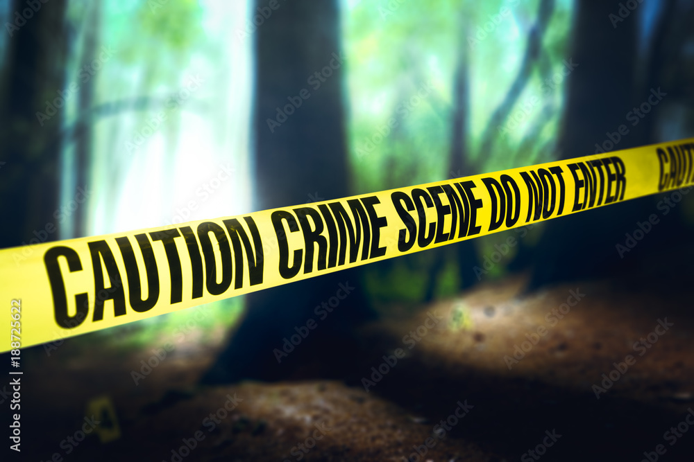 Crime scene tape in the woods Stock Photo | Adobe Stock