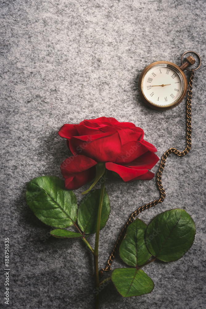 Romantic Single Rose