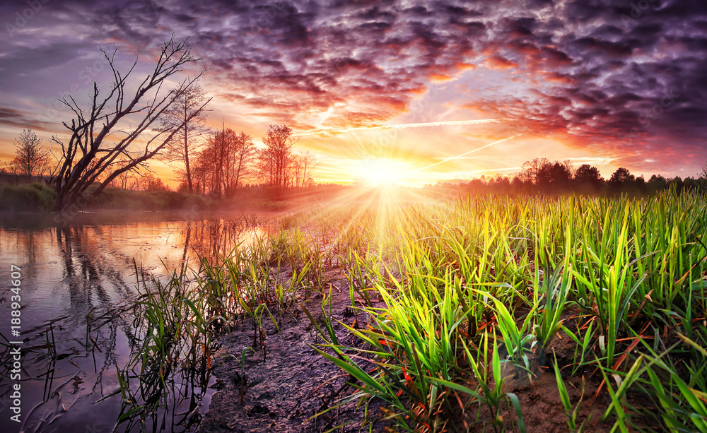 Spring Sunrise