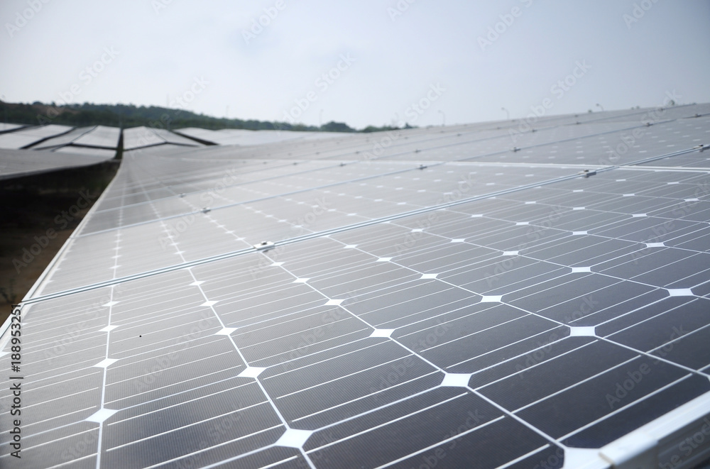 Solar panel in the solar farm used to collect solar energy and ...