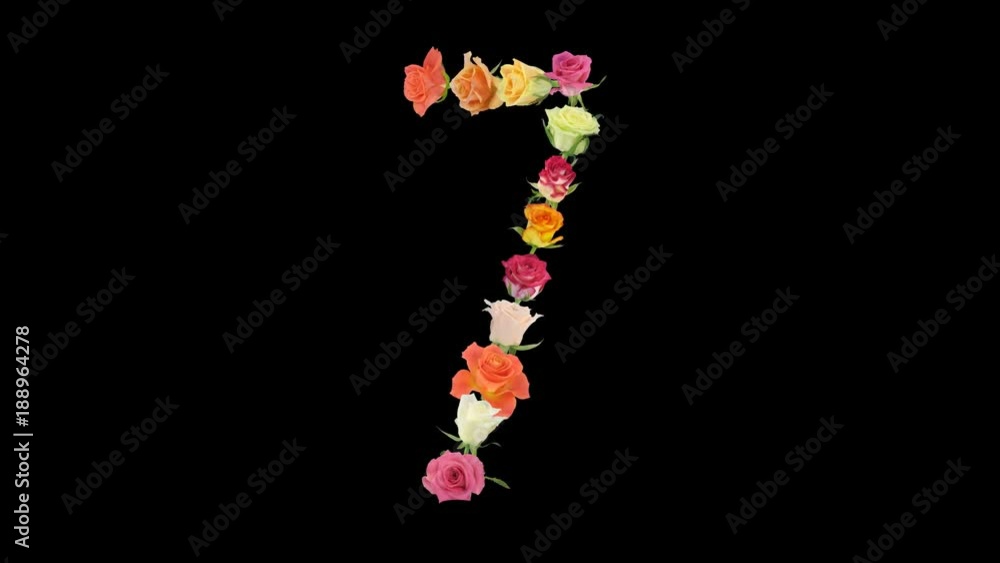 Vidéo Stock Montage of opening rainbow roses time-lapse in number 7 ...