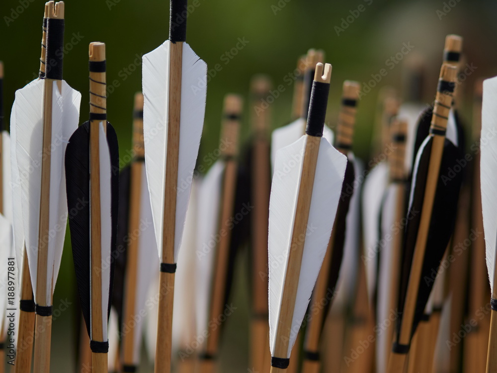 hand crafted arrows in medieval style each arrow with black and white ...