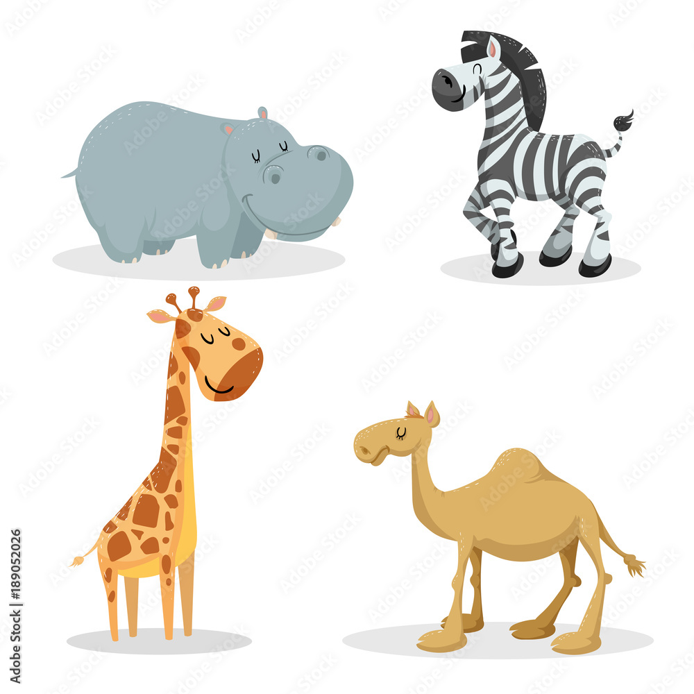 Zebra And Giraffe Animals