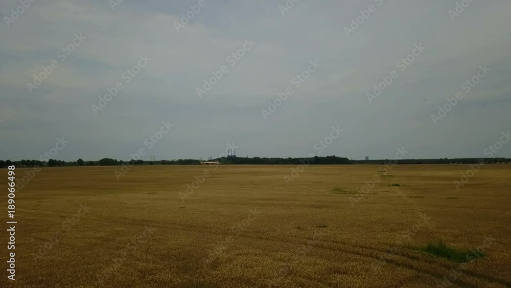 Corn field aerial view Stock Video | Adobe Stock