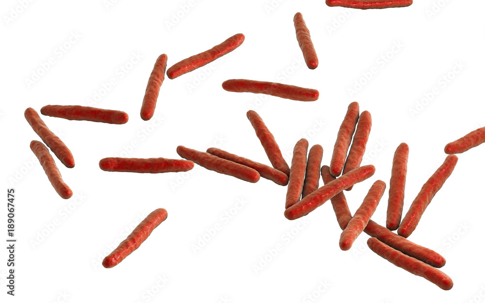 Bacteria Mycobacterium tuberculosis isolated on white background, the ...