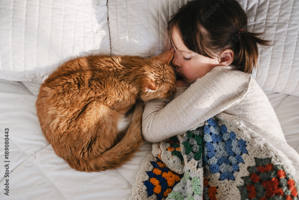 Girl having a nap on a bed with her cat Stock Photo | Adobe Stock