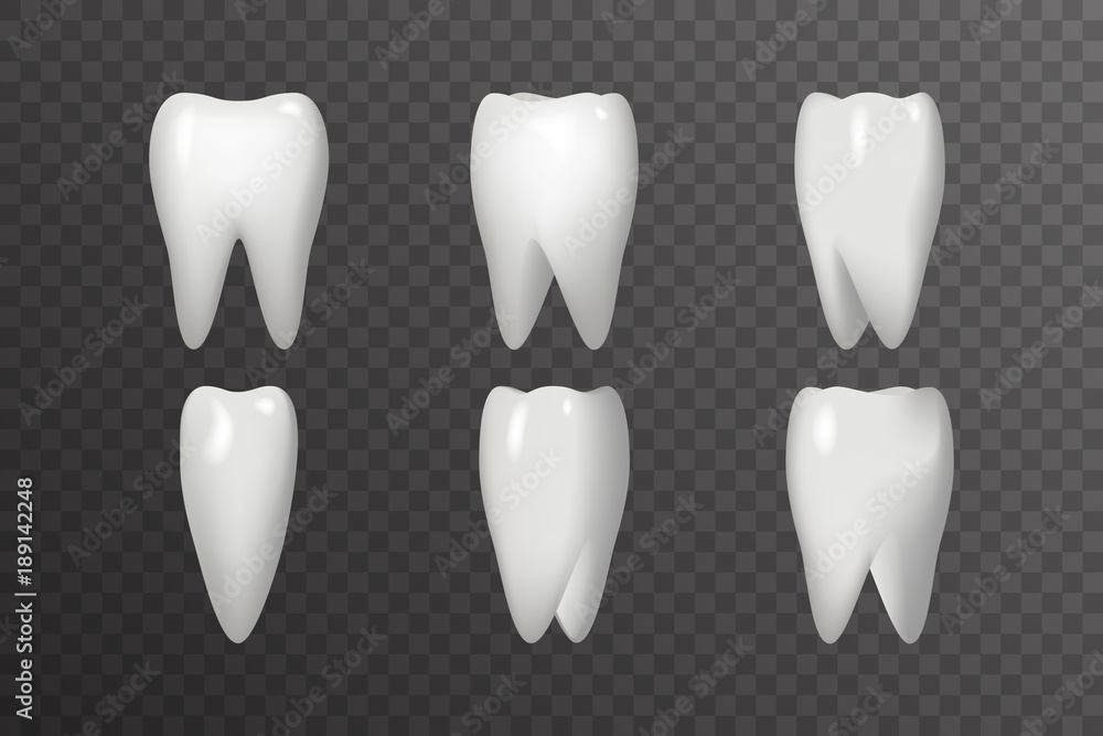 Rotation Tooth Animation Frames Realistic 3d Stomatology Dental Poster ...