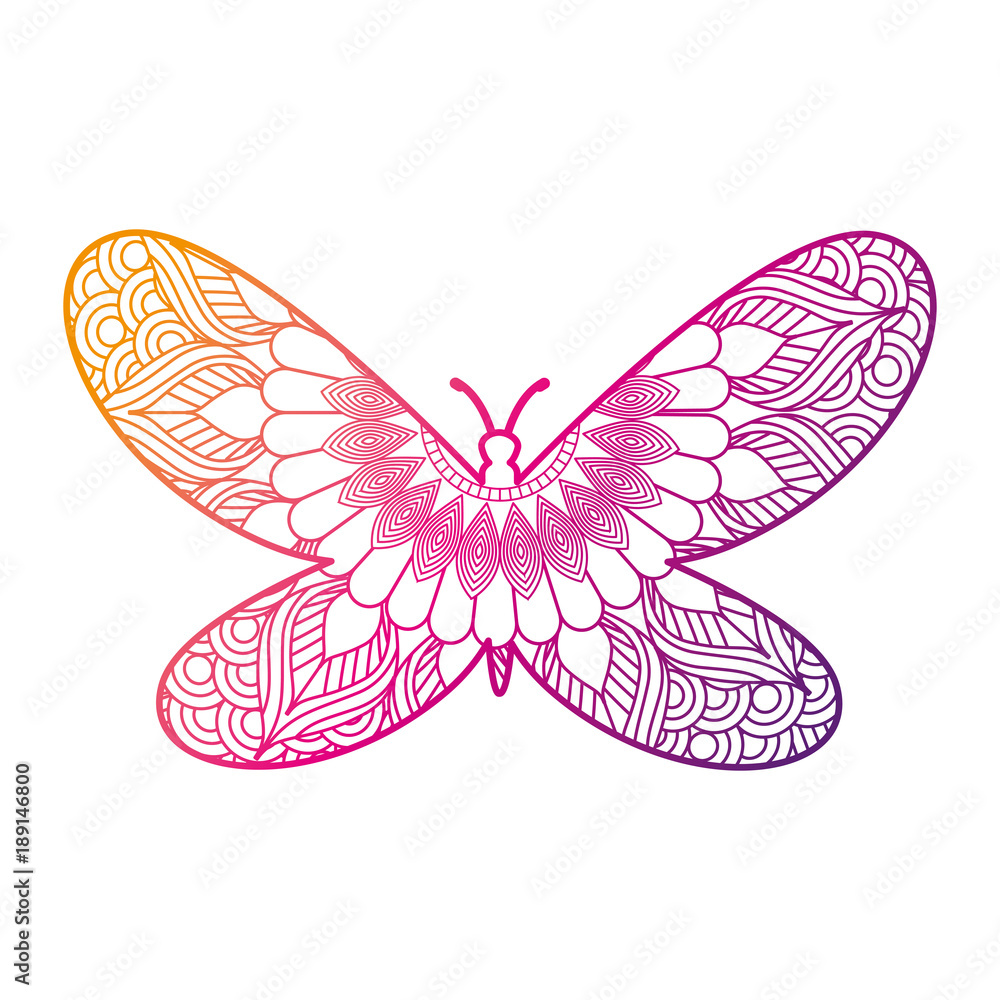 Hand Drawn For Adult Coloring Pages With Butterfly Zentangle Vector