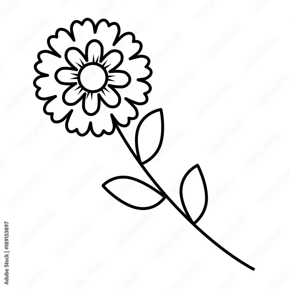 Flower Stem Outline Template | Best Flower Site