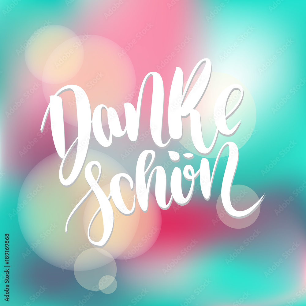 Danke schoen. Thank you in german. Vector hand drawn brush lettering on ...