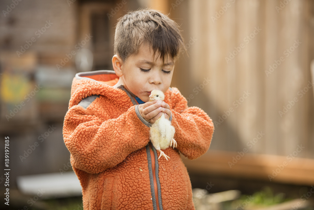 boy kissing chicken Stock Photo | Adobe Stock