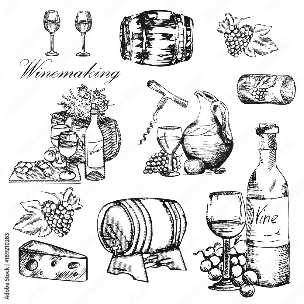 Wine set. Winemaking products in sketch style. Alcoholic drink. Vector ...