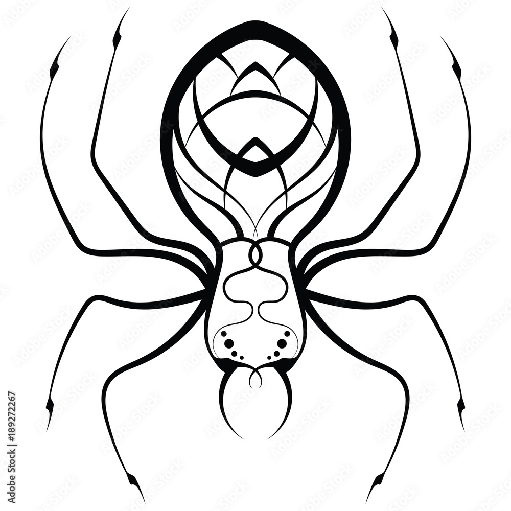 Beautiful spider tattoo.Vector spider as a design element on isolated ...
