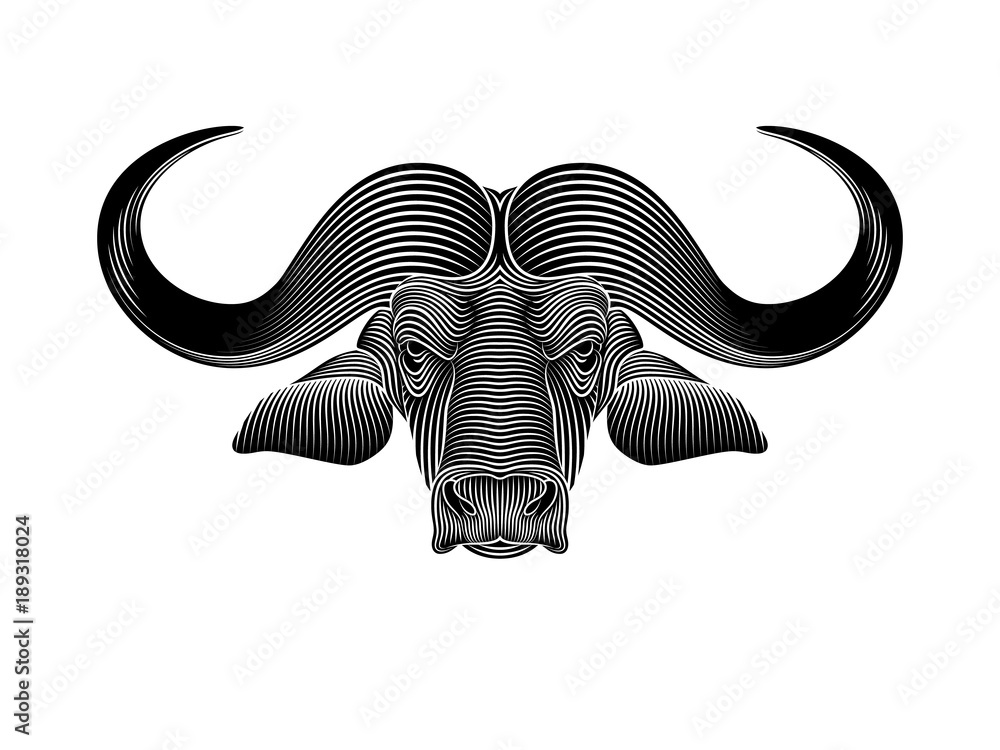Graphic print of drawn buffalo head. Engraving. Stock Vector | Adobe Stock