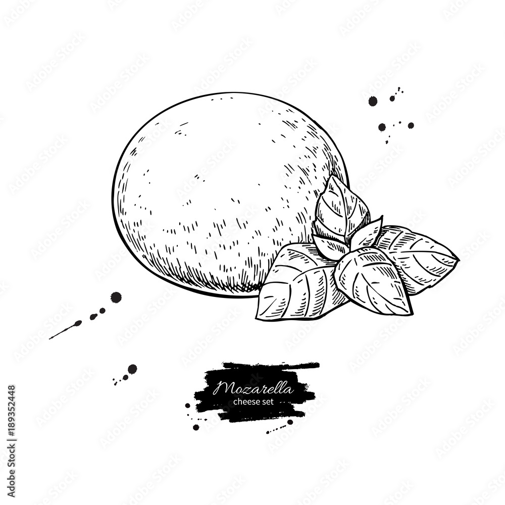Mozzarella cheese vector drawing. Hand drawn round piece with ba Stock ...