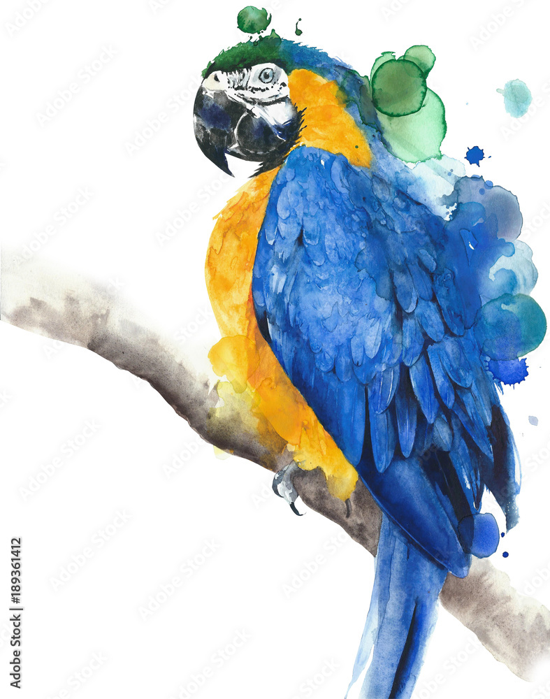 Blue Macaw Painting