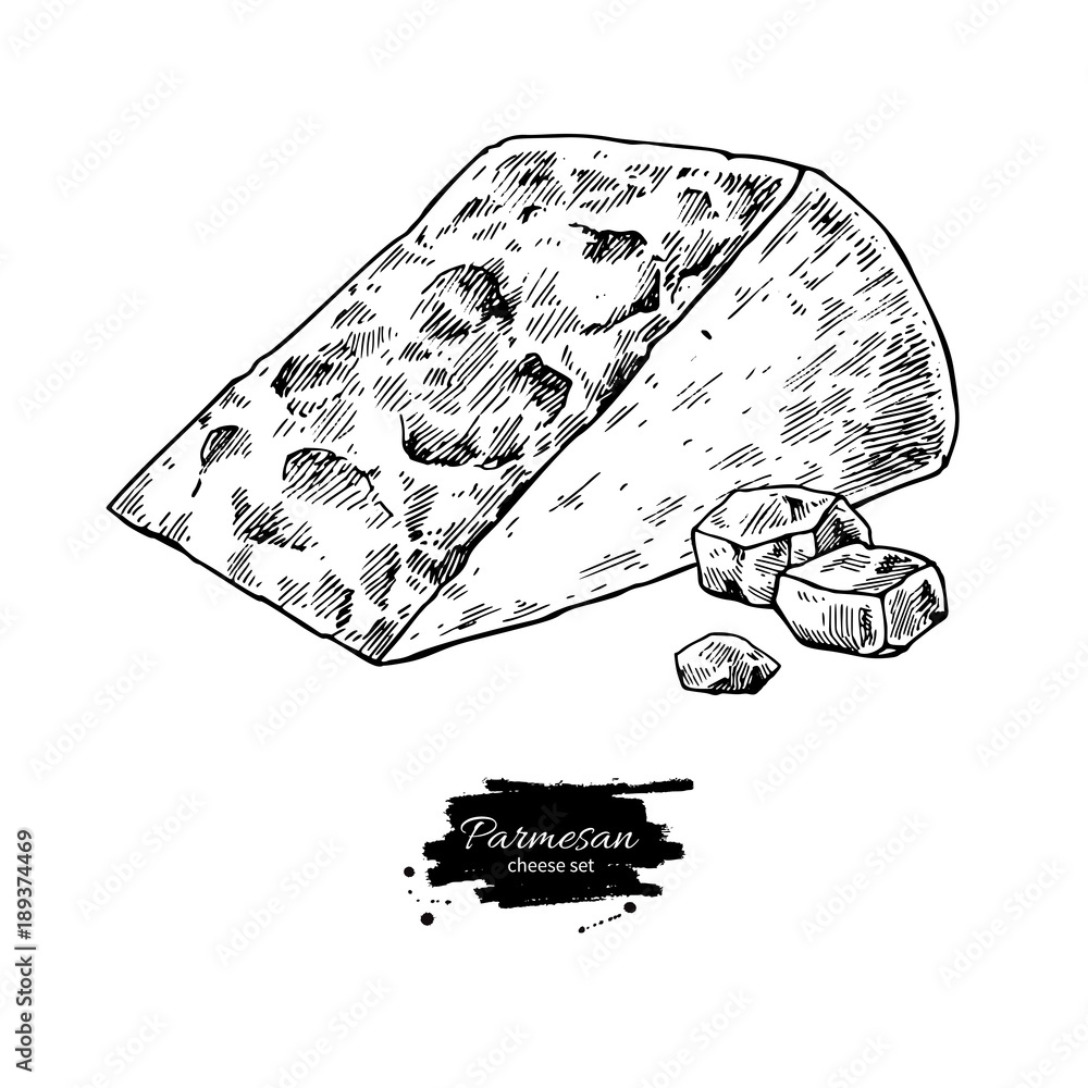 Parmesan cheese drawing. Vector hand drawn food sketch. Engrave Stock ...