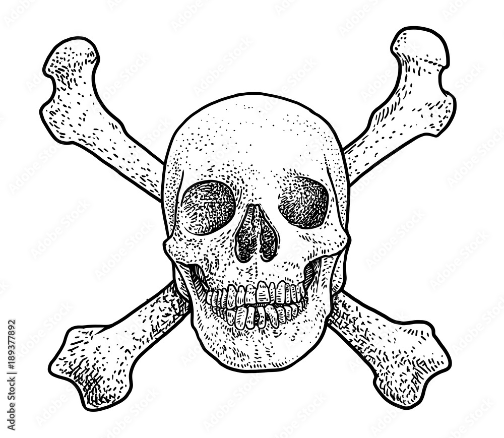 Skull with two cross bones illustration, drawing, engraving, ink, line ...