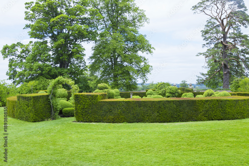 landscaped garden with topiary section enclosed by trimmed hedge and ...