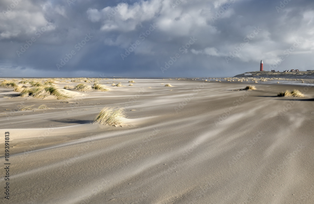windy day on North sea sand beach Stock Photo | Adobe Stock