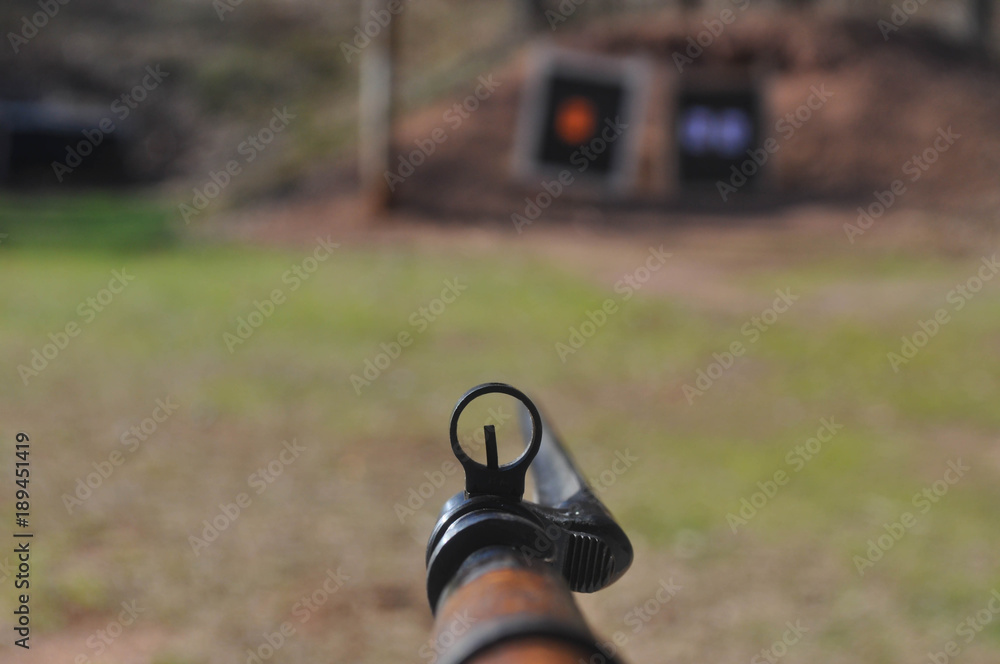 Mosin Nagant Rifle with a Bayonet at a Gun Shooting Range Stock Photo ...
