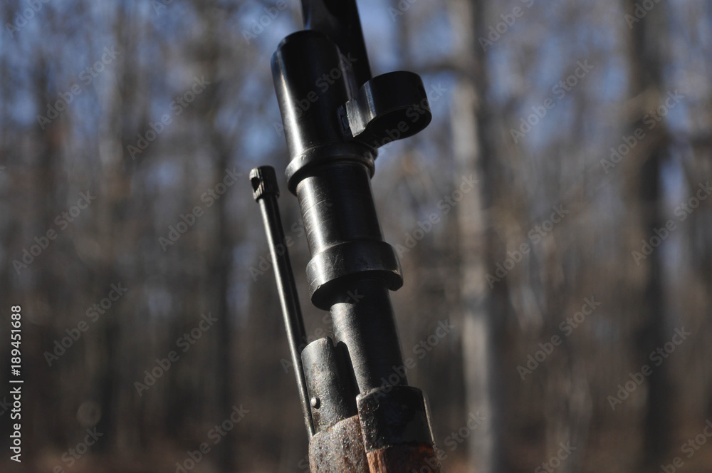 Mosin Nagant Rifle with a Bayonet at a Gun Shooting Range Stock Photo ...