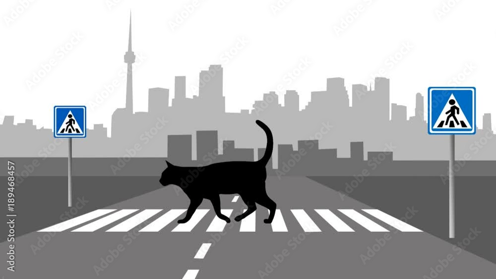 Pedestrian crossing, animation with black cat crossing the street Stock ...
