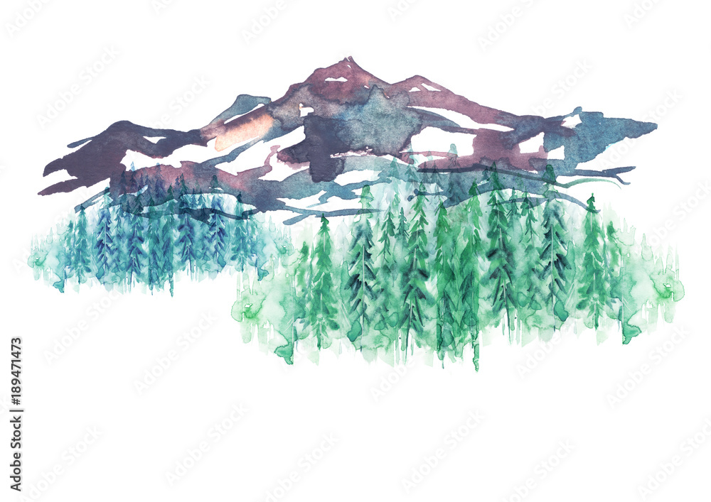 Watercolor group of trees - fir, pine, cedar, fir-tree. green forest ...